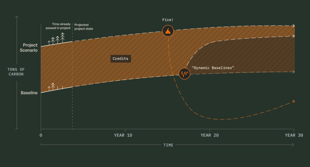 What is a Carbon Credit and How do I Grow One?